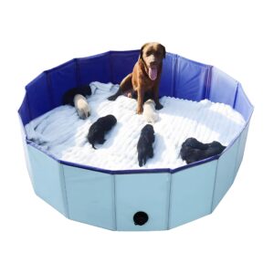 artilife whelping box for dogs welp box whelping pool,puppy whelping box,whelping pen for dogs,whelping box for dogs and puppies,great for puppies,easy to clean (47inch dia.x12inch h(120x30cm), blue)