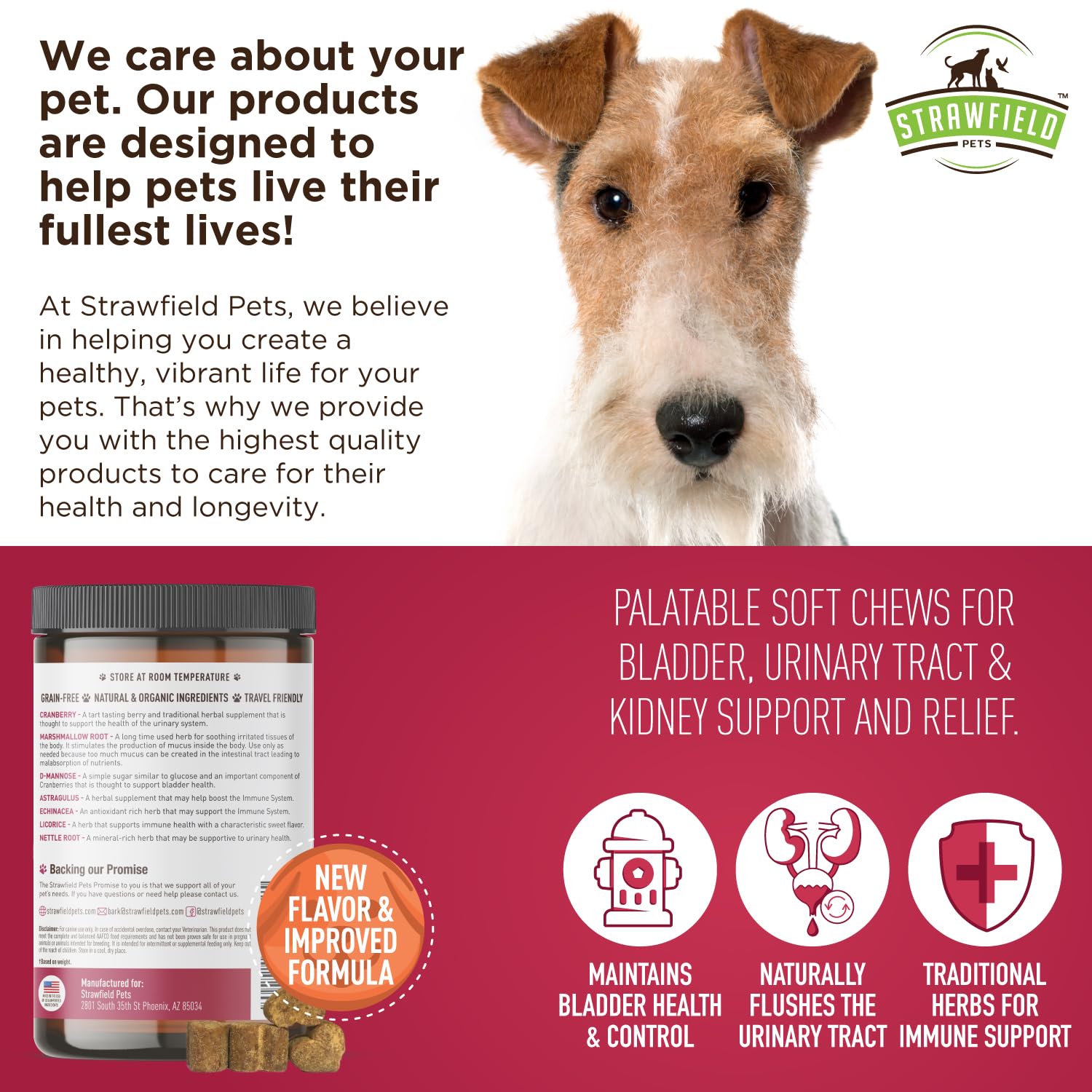 Strawfield Pets' Cranberry UTI + Bladder Soft Chews Cranberry Supplement for Dogs Urinary Tract - Bacon Flavor 120 Chews