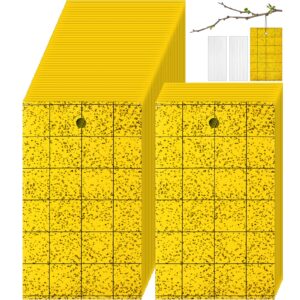 200 pcs dual side sticky fruit fly trap with tie, yellow sticky traps for gnats, 3 * 5 inch plant sticky trap for flying insect fungus bugs sticky catcher trap, sticky trap for indoor outdoor