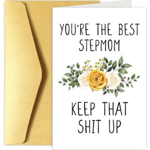 funny stepmom greeting card gift, mother's day card for stepmom, stepmom birthday card, best stepmom card