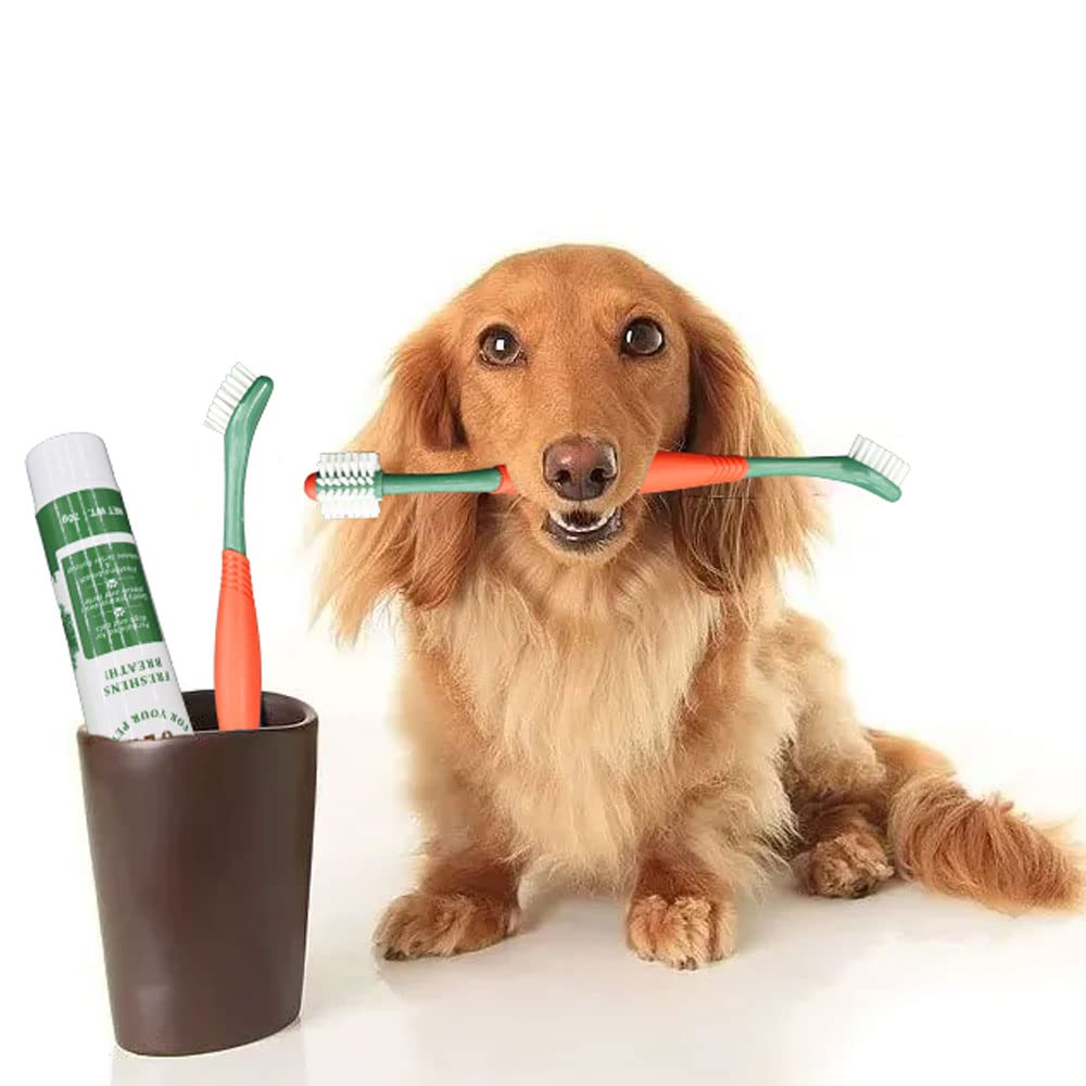 windhunt A Series of Sets for Pets Tooth Protecting and Cleaning. Including Toothpaste,Toothbrush and Fingerbrush.Preventing Tartar Buildup and Plaque.Beef Flavor.(Large)