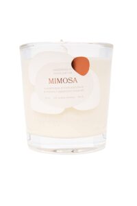 mimosa 10 oz champagne effervescence & freshly squeezed orange, 10 oz soy blend candles 283g