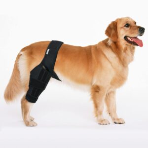 merrymilo dog knee brace for dog acl brace hind leg or rear leg, ccl brace hind leg (size: m)