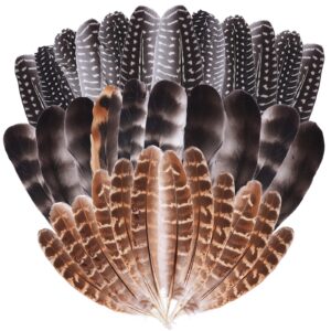 natural turkey spotted feathers for crafts pheasant feathers diy wedding home party decorations 36pcs