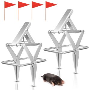 2 pack mole trap, mole traps that kill best,mole killer easy to set, mole traps for lawns,mole traps scissor metal gopher trap large (silver)