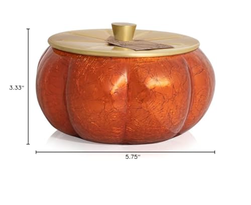 Thymes Pumpkin Laurel Statement Large Candle - Scented Candle with Notes of Nutmeg, Cinnamon, Clove, Pumpkin, and Orange Peel - Luxury Home Fragrance - Burnt Orange Pumpkin-Shaped Candle (15 oz)