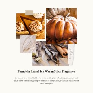 Thymes Pumpkin Laurel Votive Candle - Scented Candle for Home Fragrance - with Warm Vanilla, Spicy Cinnamon, Nutmeg, and Creamy Caramel - Single-Wick Candle (2 oz)