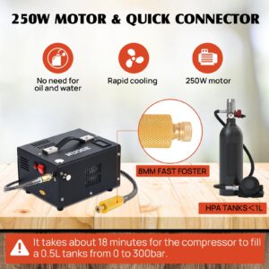 NUOGE Pcp Air Compressor 4500Psi 30Mpa Powered by Car 12V Dc or Home 110V Ac W/Converter Paintball/Scuba Tank Compressor Pump