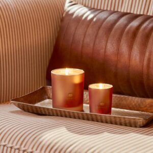 Thymes Pumpkin Laurel Votive Candle - Scented Candle for Home Fragrance - with Warm Vanilla, Spicy Cinnamon, Nutmeg, and Creamy Caramel - Single-Wick Candle (2 oz)