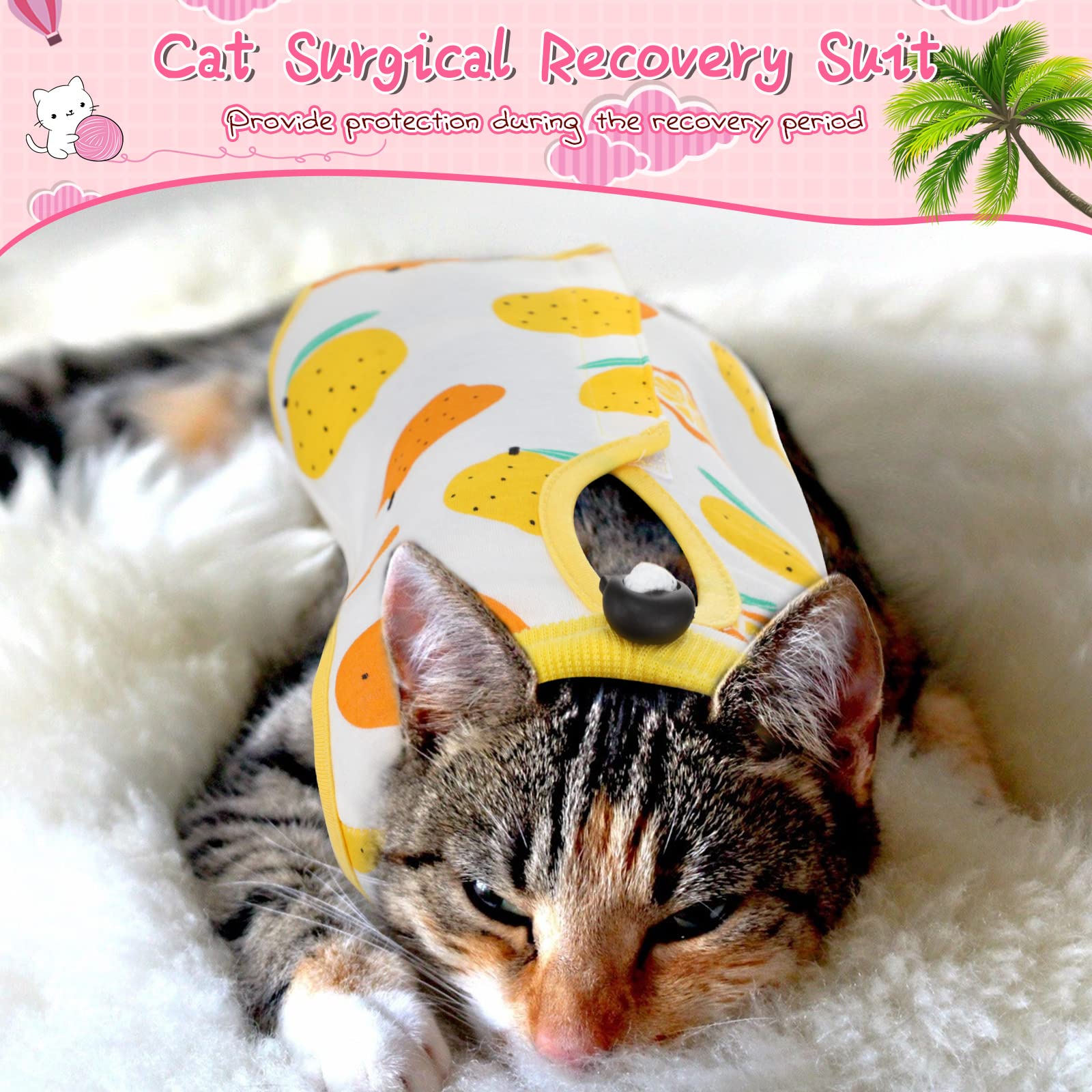 3 Pieces Cat Recovery Suit Kitten Recovery Suit E-Collar Alternative for Cats and Dogs Abdominal Skin Anti Licking Pajama Suit (Fruit Pattern, Medium)