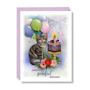 tumybee - have a purrfect birthday cat card, 5in x 7in, blank inside, envelope included