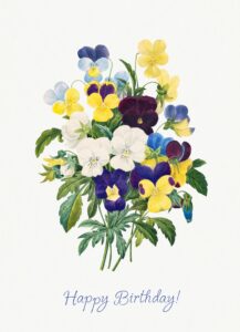 pixiluv happy birthday greeting card ~ bouquet beautiful different colored pansy flowers ~ birthday wishes vintage large greeting card