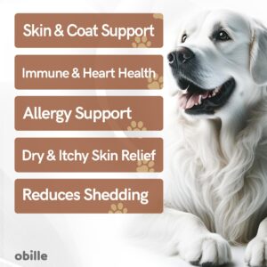 Obille Skin & Coat Omega for Dogs 160 Chews 12oz – Salmon Oil Supplement For Puppies and Large Dogs, Support Shiny Coat, Dry & Itchy Skin Relief, Immune & Heart Health and may reduce Allergy, Shedding