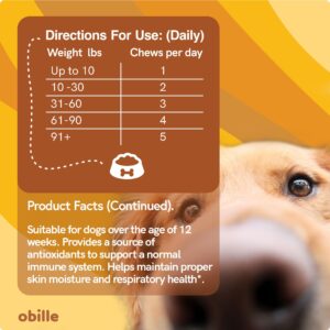 Obille Skin & Coat Omega for Dogs 160 Chews 12oz – Salmon Oil Supplement For Puppies and Large Dogs, Support Shiny Coat, Dry & Itchy Skin Relief, Immune & Heart Health and may reduce Allergy, Shedding