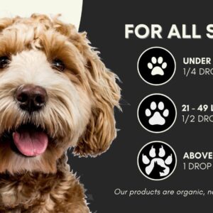 Nature's Helping Hands Premium Hemp Oil for Dogs Cats – Organic Drops for Stress Allergy Pain Relief & seizures – Calming Treats for Joint & Hip Arthritis