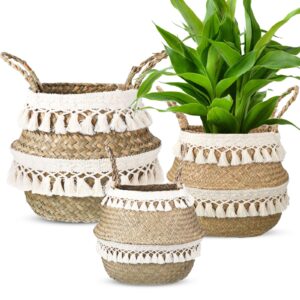 wesiti set of 3 boho seagrass belly basket natural storage plant basket plant pot woven plant basket with handles and tassels for living bathroom laundry toy grocery storage, small, medium and large