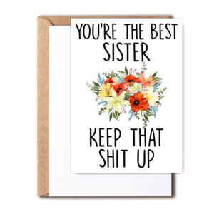 sister birthday card - you're the best sister keep that shit up - funny card sister - thank you sister gift - greeting card for sister