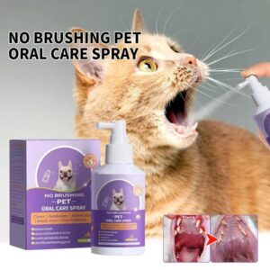 YKLWORLD Pet Teeth Cleaning Spray, Pet Clean Breath Freshener Breath Removal Spray, Pet Mouth Spray, Teeth Cleaning Spray for Dogs & Cats, Pet Clean No Brushing Pet Oral Care Spray (1PCS)