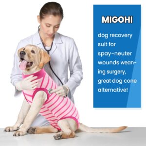 MIGOHI Dog Onesie for Surgery Female, Dog Recovery Suit Dog Cone Aternative, Surgical Suit for Dogs Male Neuter, Dog Body Suit After Surgery, Dog Post Surgery Pajamas, Suitical Recovery Shirt, L