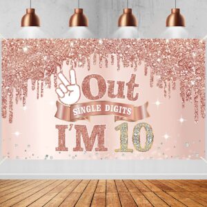 large 10 years old birthday banner decorations for girls, pink rose gold 10th birthday backdrop party supplies, out single digits i'm 10 bday poster background sign decor