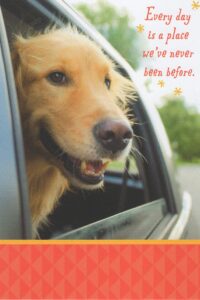 heartline golden retriever happy birthday card - every day is a place we've never been before - hope today you enjoy looking back on all your achievements and looking forward to many new adventures