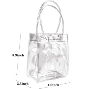 50 Pcs Plastic Gift Bags with Handle Reusable PVC Gift Wrap Tote Bags for Bachelorette Bridesmaid Wedding Birthday Baby Shower Party Favor(5.9X4.9X2.5inches)