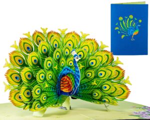 wowpaperart peacock - 3d pop up greeting card for all occasions - love, birthday, christmas - message note for personalized - thick envelope - 5x7 in