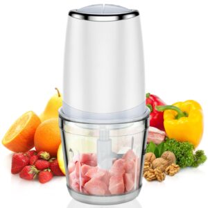 electric food chopper with 2.5 cup glass bowl, mini food processor for vegetables meat fruits nuts puree - 2 speed kitchen food processor with sharp blades, 300w