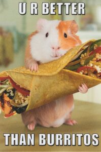 heartline funny guinea pig holding a burrito happy birthday card - u r better than burritos and, honestly - i didn't even think that was a thing.