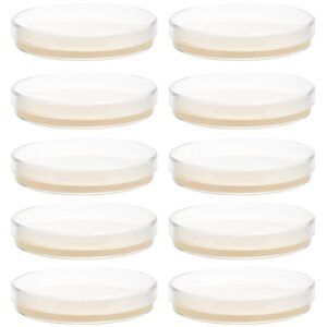 solustre 10pcs nutrient agar plate petri dish petri dish with lid agar plates culture plate