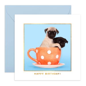 central 23 funny birthday card for daughter son - two pugs in a mug - friend birthday card - brother birthday card from sister - comes with fun stickers