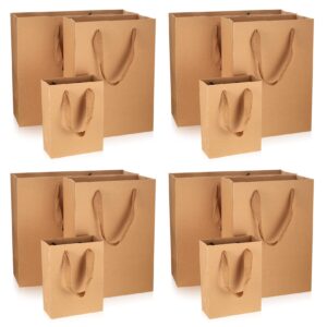 hexinyigjly 12 pcs kraft paper bags with handles, brown paper gift bags bulk, small, medium & large retail bags for small business, shopping bags, birthday party favor bags, merchandise bags