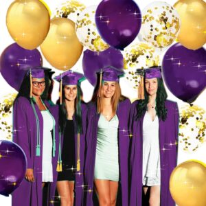 Graduation Decorations Purple Gold 2024/Purple Gold Balloons/Purple Graduation Party Decorations VIKINGS NYU LSU/Birthday Party Decorations for Women Purple Gold/Eid Mubarak Decorations