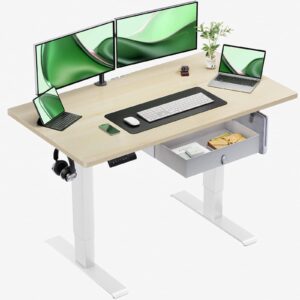 marsail standing desk with drawer, 48x24 inch adjustable height standing desk, electric stand up desk, sit stand home office desk, ergonomic workstation for home office computer gaming desk maple