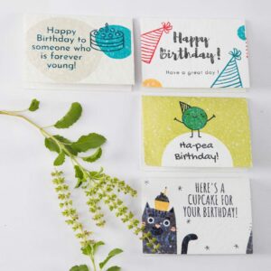 habitage seed paper birthday greeting cards - set of 12 eco-friendly plantable cards with envelopes and gift box | variety pack | recycled paper embedded with holy basil seeds