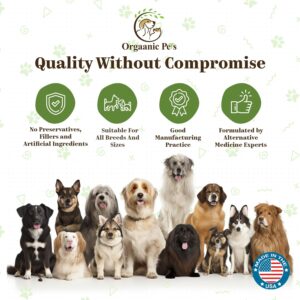 Herbal Dog Allergy Relief with SEA KELP - Colostrum - QUERCETIN - Mushrooms - Omega + 11 Natural Allergy Relief Herbs - Soft Chews for Skin & Seasonal Allergies