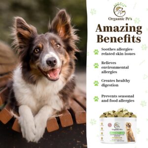 Herbal Dog Allergy Relief with SEA KELP - Colostrum - QUERCETIN - Mushrooms - Omega + 11 Natural Allergy Relief Herbs - Soft Chews for Skin & Seasonal Allergies