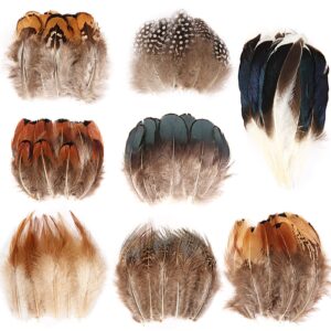 tharaht 240pcs mix colour eight style spotted small natural bulk feathers 2-6 inches for for sewing crafts clothing jewelry wedding hair hats dream catcher decoration guinea fowl feathers