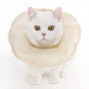 maymaw inflatable cat collar e cone for kittens & small dogs, soft & foldable cat recovery collar cone for cats to stop licking wound