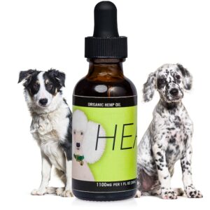 hemp dog health - heal - hemp oil for dogs - for dog seizure relief, autoimmune conditions, & cushing's - add dog hemp oil to dog's gums or directly to food - 100% natural ingredients