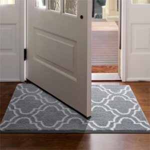 unirea area rug for bedroom living room rugs 2x5 carpet kitchen rug small, runner rugs machine washable non slip fluffy door mat indoor outdoor rugs for floor bedside home decor, grey