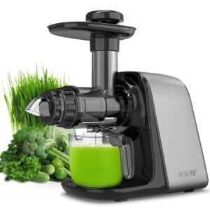 masticating juicer, nxone cold press juicer for vegetable and fruit, juicer machines with 3 speed modes and reverse function, easy to clean slow juicer with brush, silver