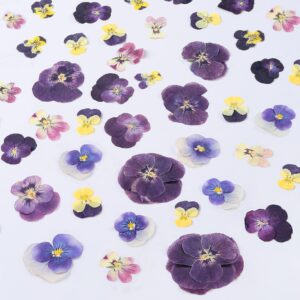 48 pcs mix natural dried pressed flowers for cake decorating, real dry flower for resin jewelry making, diy art crafts - johnny jump up