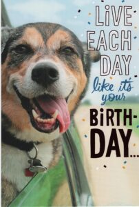 cute dog riding in car with his face hanging out the window happy birthday card - live each day like it's your birthday... relax... have fun... enjoy the ride.