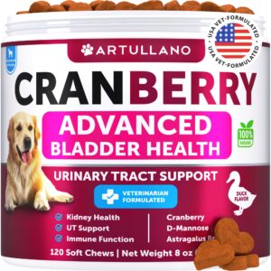 dog uti treatment - cranberry supplement for dogs - bladder control for dogs - dog urinary tract infection treatment - uti medicine for dogs - dog cranberry supplement - kidney support - 120 chews