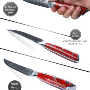 SANMUZUO Steak Knives Set of 4, Ultra Sharp Non Serrated Kitchen Steak Knife 5 Inch - Damascus Steel & Resin Handle - Xuan Series (Sunset Red)