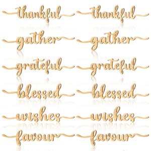 12 pieces thanksgiving wood word cutout thankful plate signs grateful blessed gather sign thanksgiving place sign thankful plate cutout thanksgiving sign for table home dinner party