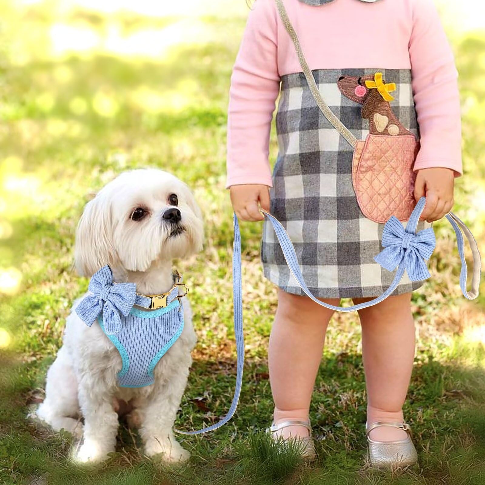 Didog Cute Small Dog Collar Harness & Leash Set, Adjustable Dog Collars and Leashes with Bowtie, Breathable Soft Mesh Padded Dog Vest for Puppies Small Dogs Walking,Blue, M