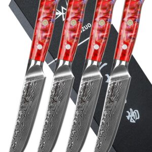 SANMUZUO Steak Knives Set of 4, Ultra Sharp Non Serrated Kitchen Steak Knife 5 Inch - Damascus Steel & Resin Handle - Xuan Series (Sunset Red)