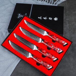 SANMUZUO Steak Knives Set of 4, Ultra Sharp Non Serrated Kitchen Steak Knife 5 Inch - Damascus Steel & Resin Handle - Xuan Series (Sunset Red)